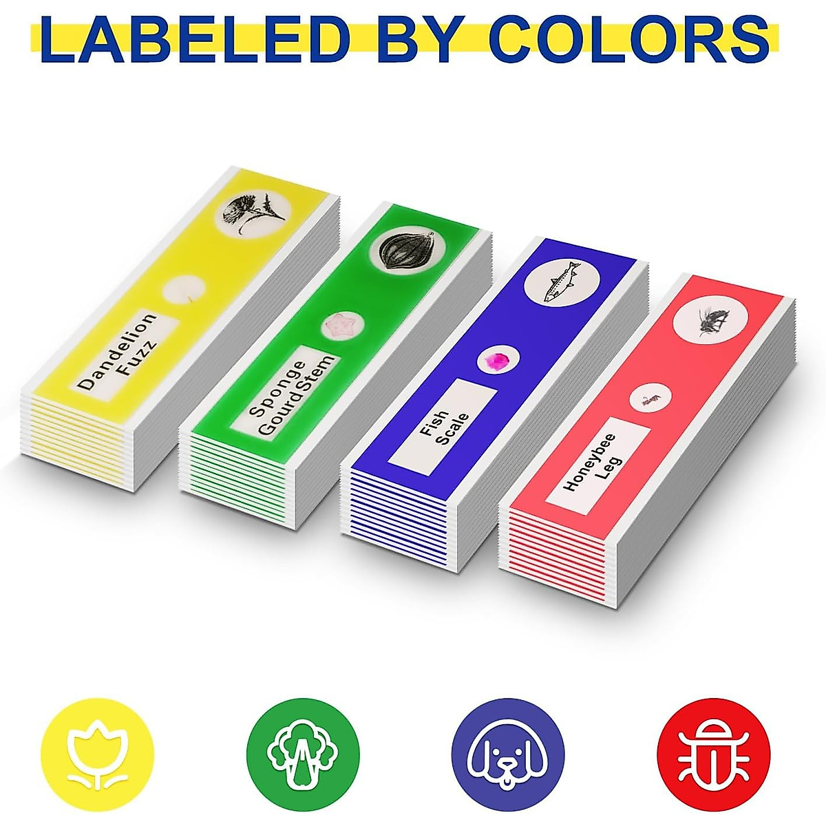 Jiusion 48Pcs Prepared Microscope Slides Specimen Animals Insects Plants Flowers Sample Biological Specimen, Stereo Microscope Slide for Kids Children Students Enlighten Education