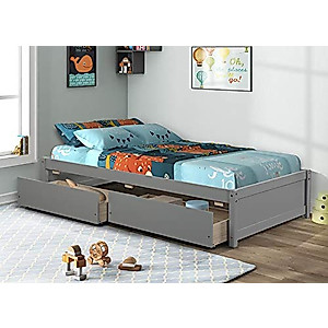 Twin Size Platform Bed with 2 Storage Drawers,Twin Bed Frame with Storage, Solid Wood Daybed with No Headboard for Kids Teen Grils Boys,Easy Assembly (Gray)