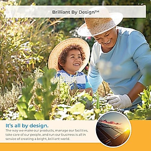 Suncast Elements Outdoor Resin Loveseat with 23-Gal. Storage Area, Modern Storage Sofa for Patios, 47" W x 29.75" D x 35.5" H, Gray