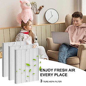 3 Pack C545 True HEPA Replacement Filter S Compatible with Winix C545, B151, P150, 9300 Air Cleaner Purifier, Replaces Winix Filter S 1712-0096-00 and 2522-0058-00