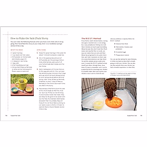 Let's All Keep Chickens!: The Down-to-Earth Guide to Natural Practices for Healthier Birds and a Happier World