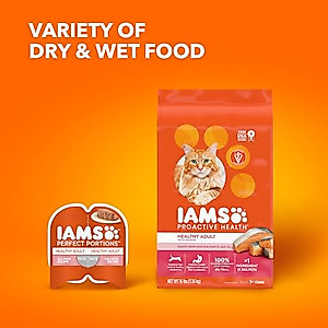 IAMS Proactive Health Adult Healthy Dry Cat Food with Salmon, 16 lb. Bag