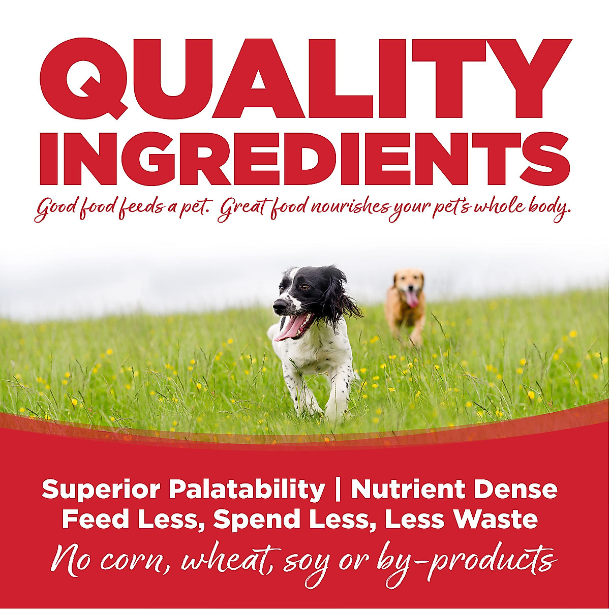 NutriSource Dry Dog Food for Large Breeds, Beef and Rice, 26LB