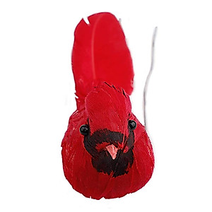 Christmas Cardinal Floral Red Artificial Feathered Birds on a Iron Wire Xmas Tree Ornaments Craft Decorations for Home Garden Wedding Decor Pack of 6