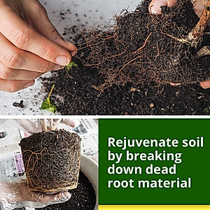 Humboldts Secret Plant Enzymes – Best Plant and Root Enzymes – 7000 Active Units of Enzyme per Milliliter – Quality Plant Food and Plant Fertilizer – Highly Concentrated – 2 Ounce