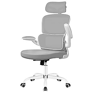 Razzor Ergonomic Office Chair, High Back Mesh Desk Chair with Lumbar Support and Adjustable Headrest, Computer Gaming Chair with Flip-up Armrests, Executive Swivel Chair for Home Office (LightGray)