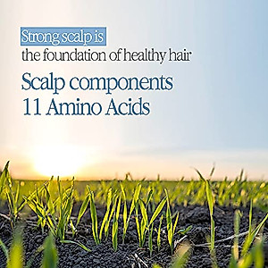 Bouquet Garni Shampoo Pink Grapefruit - Long Lasting Fragrance Dry Hair Moisturizing - Scalp Moisturizer and Cleansing with Natural Surfactant - Nutritious Amino, Protein, Natural Oil - 16.9 Fl Oz