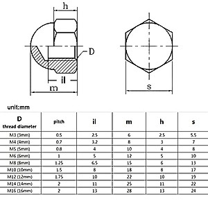ZIFARM Nuts, 2pcs Stainless Steel Hex Acorn Nut Cap Decorative Cover Dome Nuts (Size : M5)