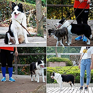 Durable Multi Function 8ft Leather Dog Leash, Genuine Leather Leash Hands Free Leash Dog Training Leash for Small, Medium and Large Dogs