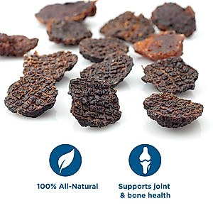 Best Bully Sticks 100% Beef Bully Stick Char Burger Slider Crunchy Dog Treats - Made of All-Natural Bully Sticks - Bite-Sized & Easily digestible - 0.5 lb Bag