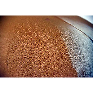 Pro Hunter Double Duty Buck Deer Archery Target - for Compound, Crossbow, Youth Bow and Traditional Bows