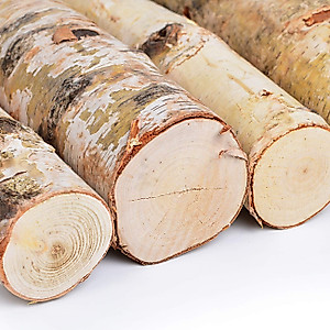 6 Pack Large Birch Logs for Fireplace Unfinished Wood Crafts DIY Home Decorative Burning(Logs:2.4"-3.1" Dia. x 16" Long)