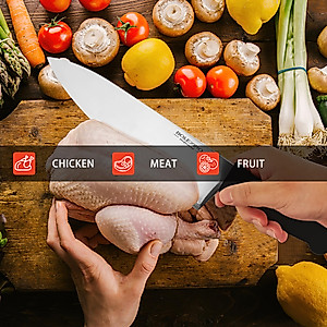 BOLEXINO Chef Knife,10 inch High Carbon Stainless Steel Kitchen Knife, Sharp Cutting Knife W/Ergonomic Handle for Household or Business (Black)