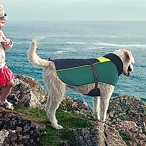 T'CHAQUE Warm Dog Jacket, Cold Weather Coat for Small Medium Large Dogs, Waterproof Reflective Turtleneck Dog Vest, Winter Fleece Dog Outfit with Leash Ring Windproof Adjustable Dog Apparel Clothes