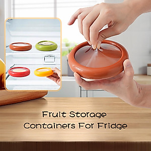 ZHIYUEJING Fruit storage containers for fridge,Fruit and Vegetable Anti-Oxidation Storage Box,Set of 4 Reusable Storage Containers for Fridge,Fruit Storage Containers for Onions, Lemons, and Potatoes