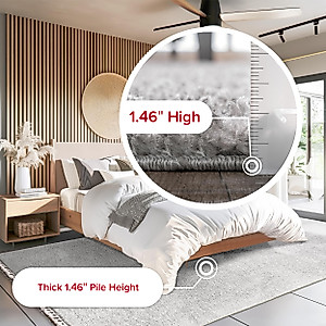 nuLOOM Neva Modern Tasseled Shag Area Rug, 4x6, Grey