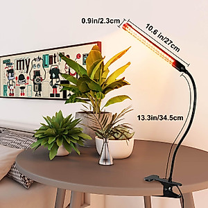 JINHONGTO 2024 Upgraded Plant Light, 1000 Lumen Clip On Grow Light 1-Head with 4/8/12H Timer Function, Grow Lights for Indoor Plants Full Spectrum, Bright Plant Growing Lamp with 42PCS White Red LEDs