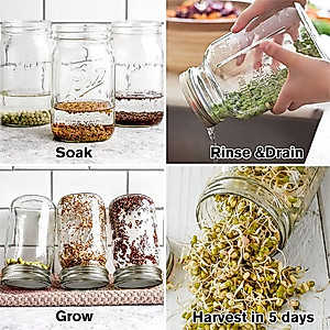 12 Pack Sprouting Lids,304 Stainless Steel Screen Filter Strainer Lid for 2.75 Inch Regular Mouth Mason Jar,Mesh Bean Sprout Sieve Lids,Home Use Alfalfa,Salad,Broccoli,Lentil NO GLASS JAR QurHapzy