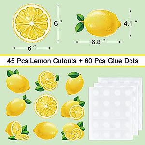 45 Pcs Lemon Cutouts for Summer Bulletin Board Lemon Accents Back to School Classroom Decorations