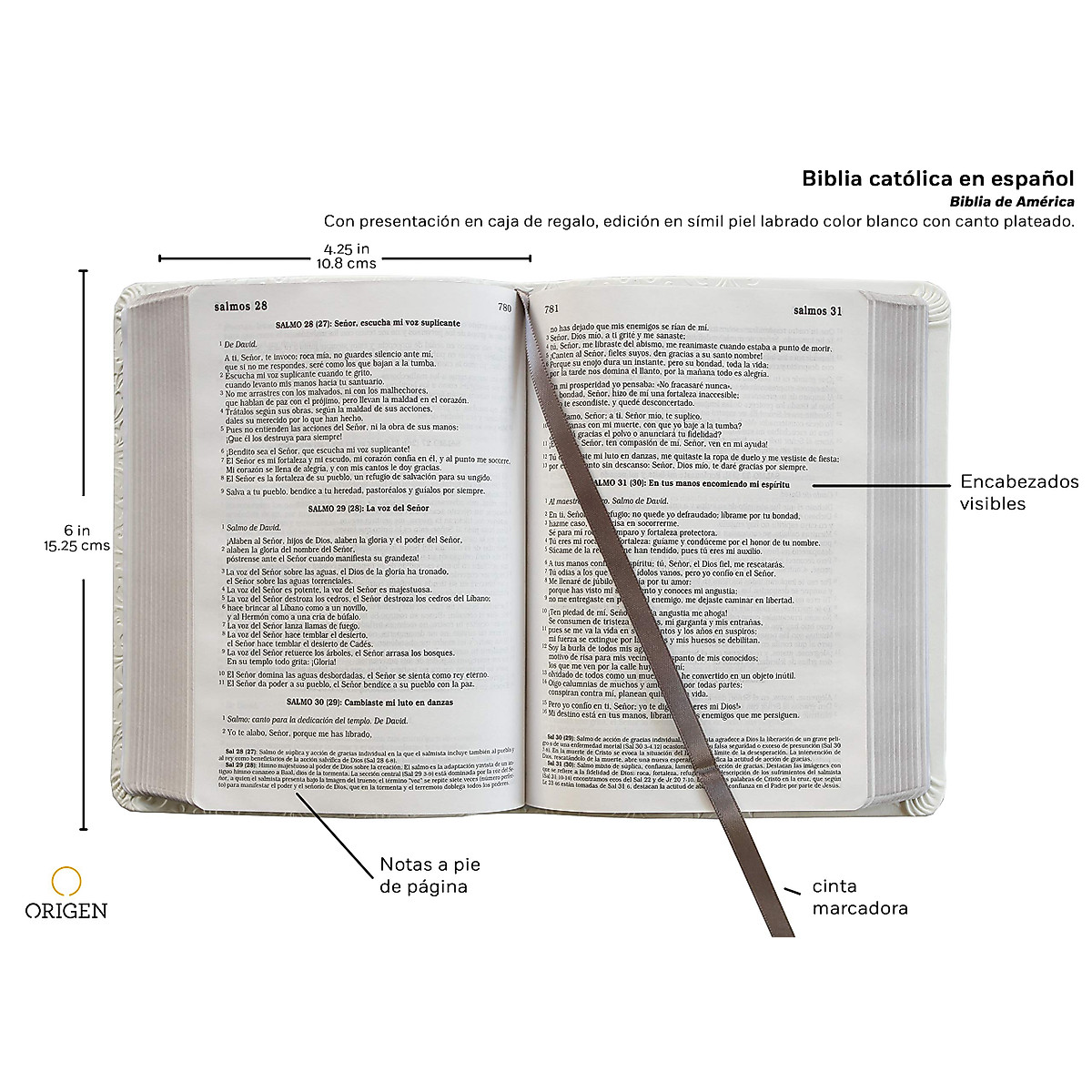Biblia Católica en español. Boda, bautizo, primera comunión, confirmación y cumpleaños. Caja blanca regalo / Catholic Bible. Spanish-Language, Leathersoft,