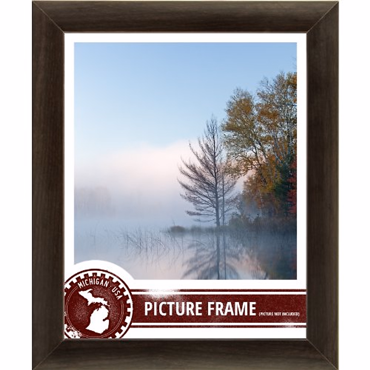 Craig Frames 232477781620N 1-Inch Wide Picture/Poster Frame in Smooth Wood Grain Finish, 16 by 20-Inch, Brazilian Walnut