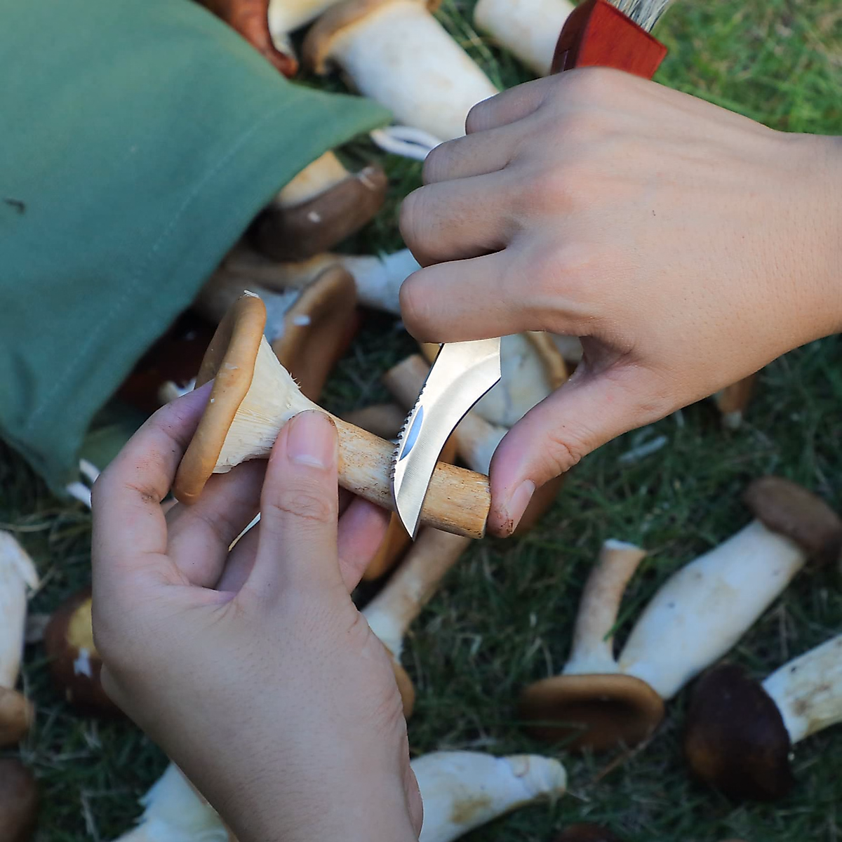 Foxyoo Mushroom Foraging Kit – Includes Foraging Bag, Mushroom Knife with Brush for Mushroom Hunting, Collecting