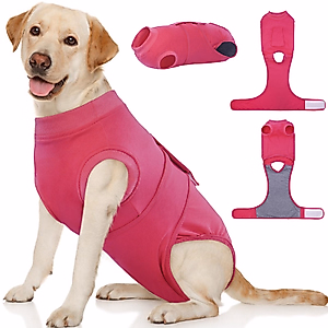 Kuoser Dog Surgery Suit Female Spay, Dog Recovery Suit Male Neuter, Dog Clothes Onesie for Surgery Anti Licking Abdominal Wounds Pet Puppy Surgical Recovery Bodysuit Shirt, Substitute E-Collar & Cone