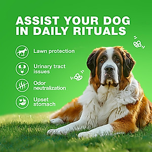 Grass Burn Spot Chews for Dogs - Dog Urine Neutralizer for Lawn - Grass Savers for Dog Urine - Dog Pee Lawn Spot Saver Caused by Dog Urine - Grass Treatment Rocks - Probiotics, Enzymes & Multivitamins