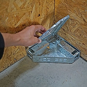 Southern Homewares Multi-Catch Clear Top Humane Repeater Mouse Trap's