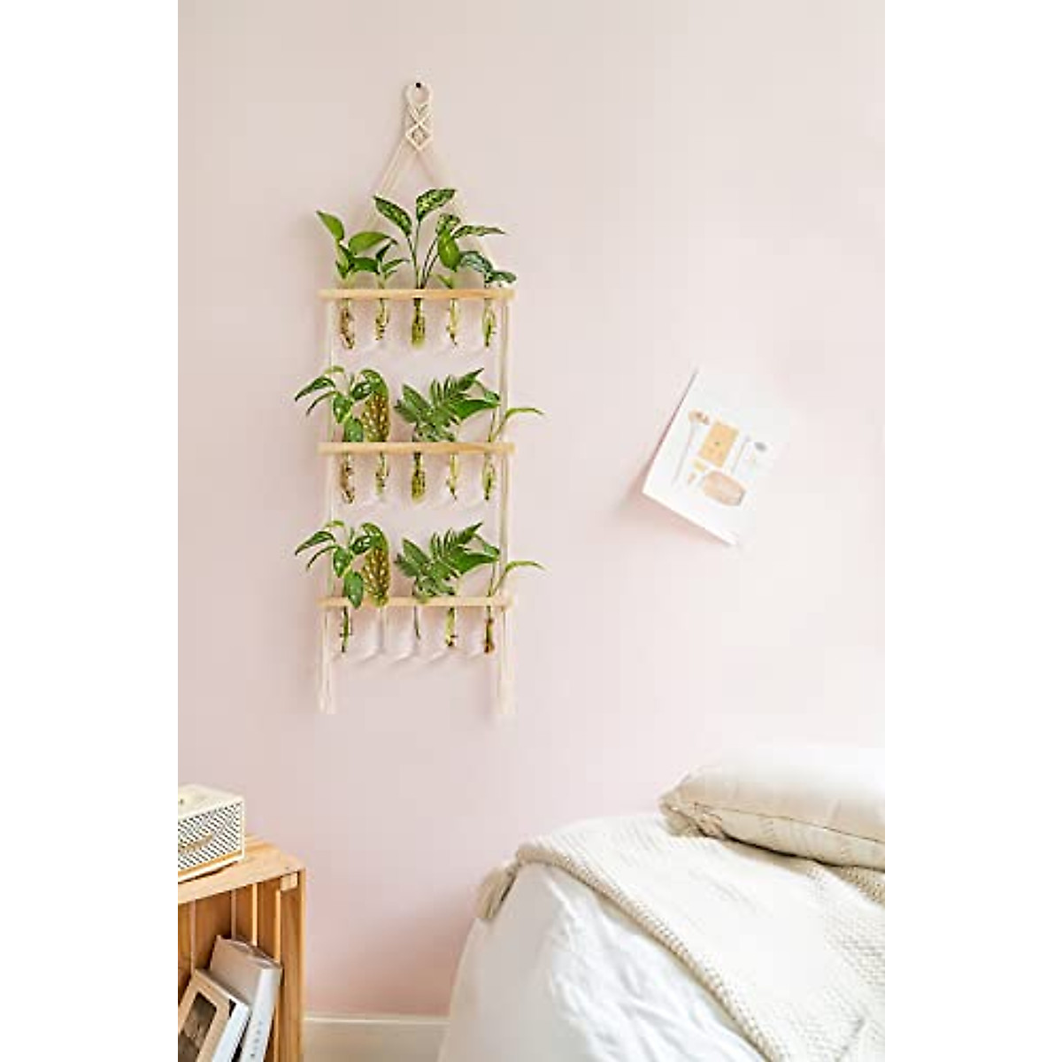 Mkono Macrame Plant Propagation Tubes, 3 Tier Boho Wall Hanging Plant Terrarium Vase Indoor Glass Planter for Propagating Hydroponic Houseplants Home Office Wall Plant Decor Gifts for Women