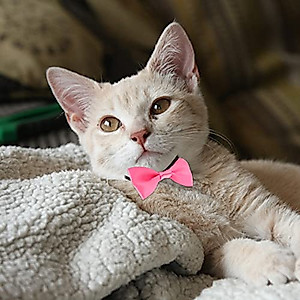 balacoo Small Pet Bowtie Hamster Hat and Bowtie Guinea Pig Black Cap Bow Tie Cool Pet Small Animal Outfit Cosplay Suit for Rats Sugar Glider Chinchilla Ferret Hedgehogs Hamster Top Hat