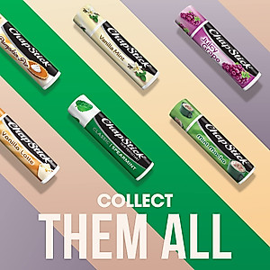 ChapStick Classic Spearmint Lip Balm Tubes, Spearmint ChapStick for Lip Care - 0.15 Oz (Pack of 12)