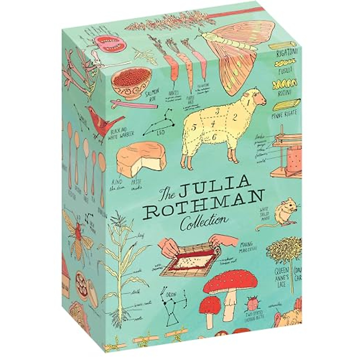 The Julia Rothman Collection: Farm Anatomy, Nature Anatomy, and Food Anatomy