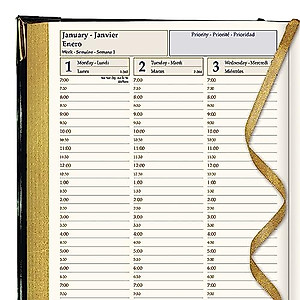 Brownline 2024 Executive Weekly Planner, Appointment Book, 12 Months, January to December, Sewn Binding, 8.187" x 5.625", Trilingual, Assorted Colors (CBE507.ASX-24)