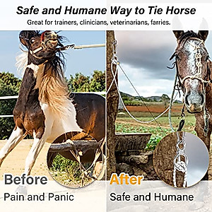 Debialo Horse Tie Ring, Horse tack and Supplies, Safe Horse Accessories,Horse Training Equipment with Eye Bolt,Quick snap,Humane Way Tie Ring,Prevent Horses from Pulling Back,Durable Steel