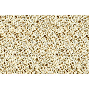 Creative Boards Passover Matzoh Place mats, Beautifully Designed Matzo Table Mats (Paper 12 Per Pack)