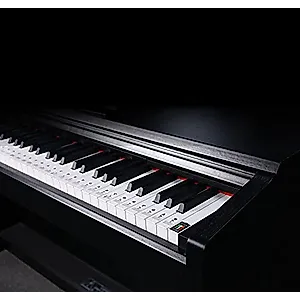 Piano Keyboard Stickers for Beginners 88/61/54/49/37 Key. Large Bold Letter Piano Stickers Perfect for kids Learning Piano, Transparent and Removable