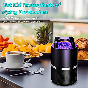 Bug Zapper, Indoor Insect Trap with UV Light, Strong Sunction and Sticky Boards Fruit Fly Traps for Fruit Flies, Mosquito, Gants in Kitchen & Home