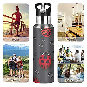 WELLDAY Water Bottle Ladybugs Double Wall Vacuum Insulated Flask Stainless Steel with Straw Lid 20oz