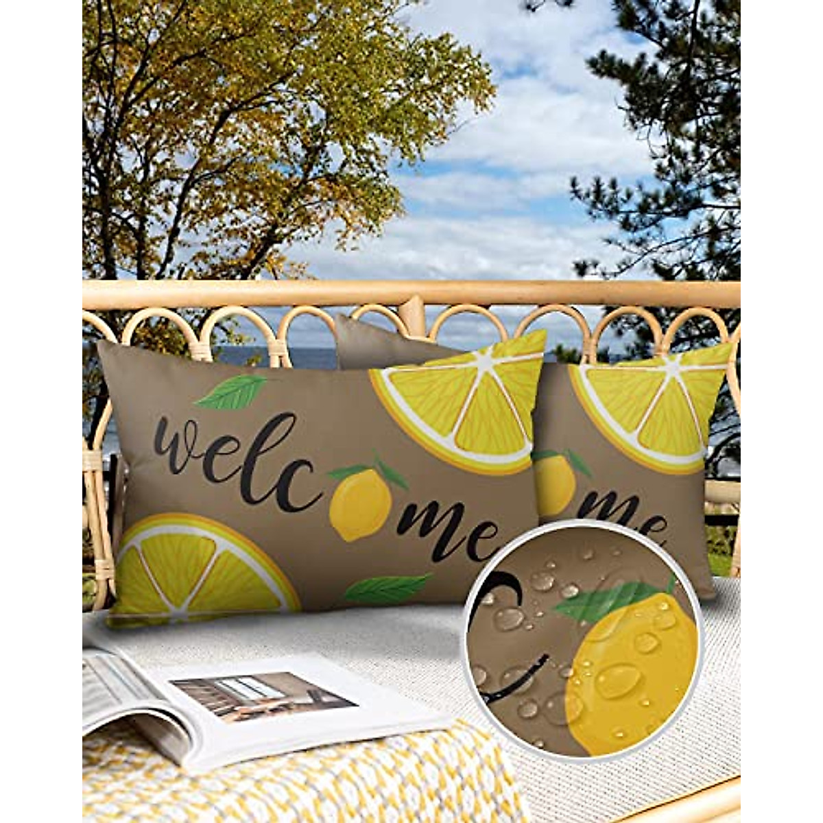 ALAGEO Outdoor Waterproof Pillow Covers for Patio Furniture Summer Fruit Lemon Decorative Throw Pillow Cover Plant Green Leaves Brown Pillowcases Set of 2 Cushion Case for Sofa Couch Chair 20x12 in