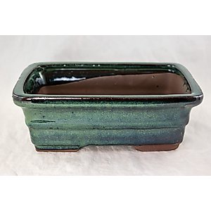 Calibonsai Rectangular Bonsai Cactus & Succulent Pot with Mesh 8x 6x 2.75 - Green Stain Glazed