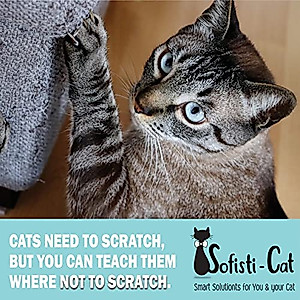 Sofisti - Cat Scratch Deterrent Tape for Furniture – 10 Double Sided Anti Scratching Sticky Tape - Cat Scratch Furniture Protector – Cat Training Tape Teaches Your Kitty Not to Scratch Your Couch