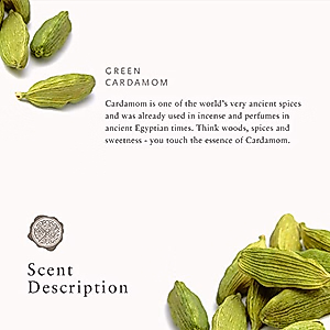 RITUALS Green Cardamom Luxury Oil Reed Diffuser Set - Fragrance Sticks with Cardamom, Mandarin, Amber & Musk - 15.2 Fl Oz