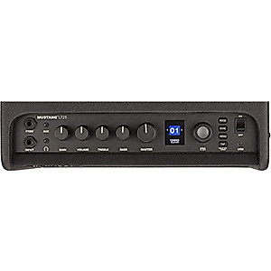Fender Mustang LT25 Guitar Amp, 25-Watt Combo Amp, 30 Preset Effects with USB Audio Interface for Recording, 12.75Hx14.5Wx8.25D Inches, Wood, Black