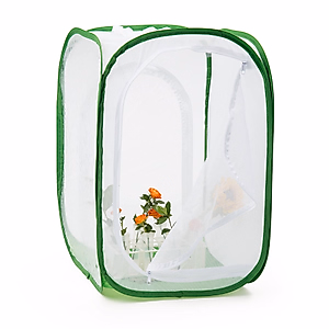 Two Doors Large Monarch Butterfly Habitat, Insect Mesh Cage, Caterpillar Enclosure Terrarium Pop-up (24 x 24 x 36 inches)