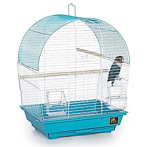 Prevue Pet Products South Beach Dome Top Bird Cage, Teal (SP50071),14 1/8" L x 11 1/4" W x 18 1/8" H