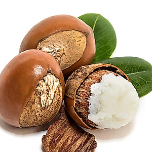 Olay In-Shower Rinse-Off Body Conditioner for Dry Skin with B3 and Shea Butter for Lasting Hydration, 8 Fl Oz (Pack of 3)