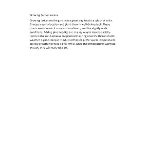 Lantana Camara Flowers - Two (2) Mixed Starter Live Plants - Not Seeds - Natural Mosquito Repellant Garden - Attract Hummingbirds & Butterflies - in 4 inch Pots