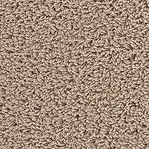 8’x10’ Taffy Apple Area Rug Carpet. 25 oz FHA Certified. Multiple Sizes and Shapes to Choose from