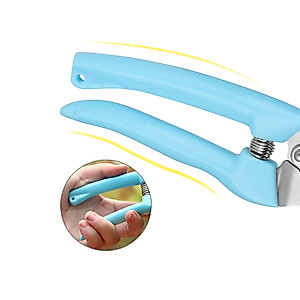 Curve Gardening Scissor with Sharp Stainless Steel Blade Garden Shears for Cutting Flowers Trimming Plants of Yard Florist Flower Rose Herb Hedge Bonsai and Fruits Picking